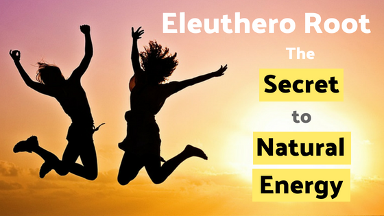 Eleuthero Root: Benefits, Uses and More – Khroma Herbal Products